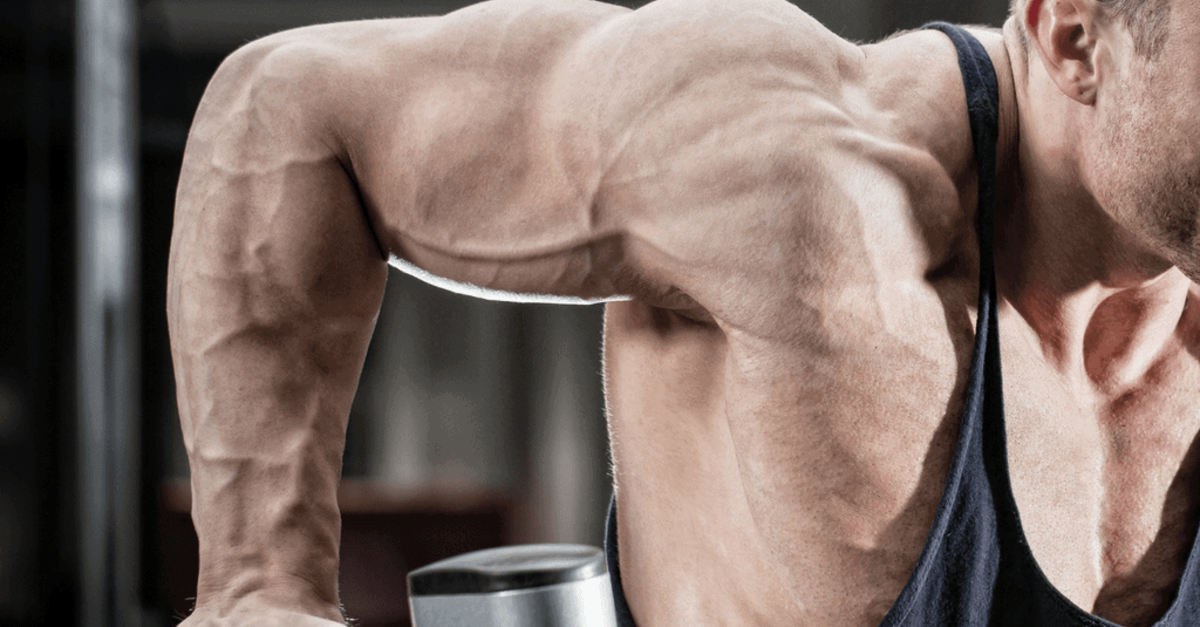 Zefektívni a zoptimalizuj svoj tréning tricepsu vďaka týmto tipom a ...